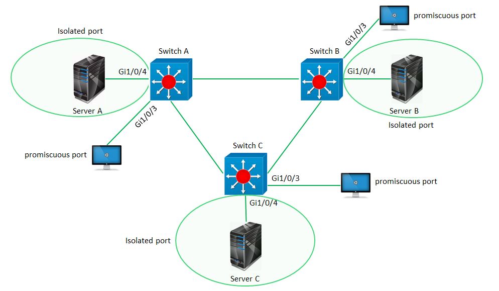 What is Private VLAN (PVLAN)?