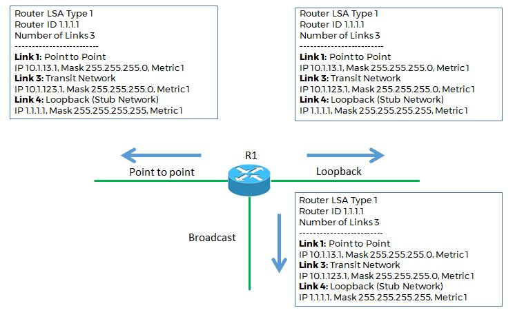 Top 11 OSPF LSA Types Explained [2025]