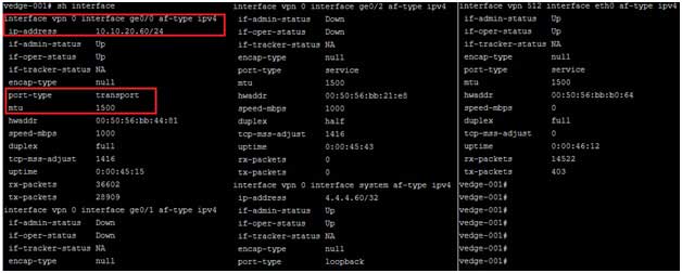 Cisco SD-WAN vManage: Overview & Discovery Features