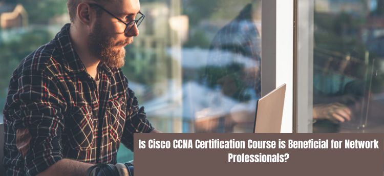 IPv4 Packet Header: Structure, Key Fields, and Their Functions