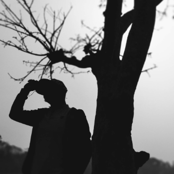 Citrix NetScaler ADC Training | load balancer course Online