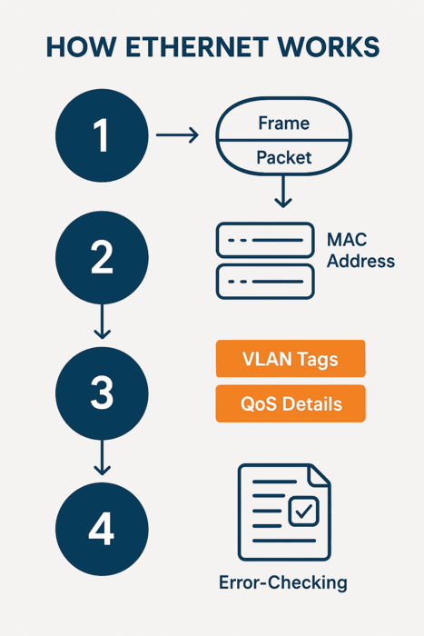 What is Ethernet in Networking? | Meaning, Types and Uses