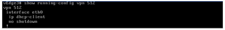 Initializing all vEdges via CLI | SD-WAN Practical